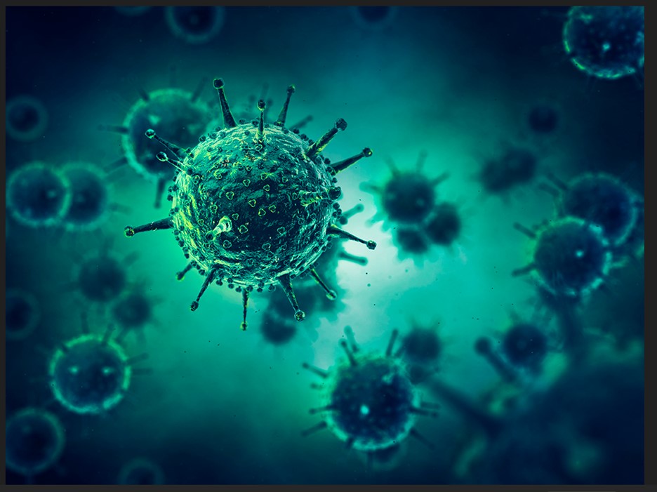 Merck Medical Portal | Official Site